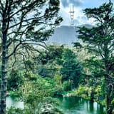 Stow Lake and Strawberry Hill Loop, California - 1,119 Reviews, Map ...