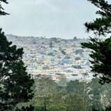 Stow Lake and Strawberry Hill Loop, California - 1,119 Reviews, Map ...