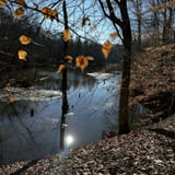 Hemlock Overlook via Bull Run Occoquan Trail, Virginia - 697 Reviews ...