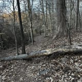 Hemlock Overlook via Bull Run Occoquan Trail, Virginia - 697 Reviews ...