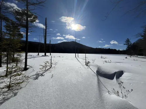 Best Forest Trails in Hoffman Notch Wilderness | AllTrails