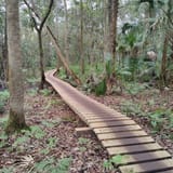 Econlockhatchee River Trail, Florida - 449 Reviews, Map | AllTrails