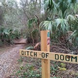 Econlockhatchee River Trail, Florida - 449 Reviews, Map | AllTrails