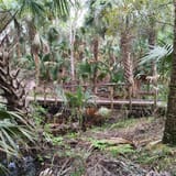 Econlockhatchee River Trail, Florida - 449 Reviews, Map | AllTrails