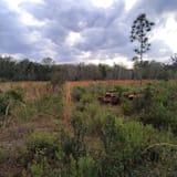 Econlockhatchee River Trail, Florida - 449 Reviews, Map | AllTrails