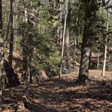 Poor Farm Park Trails, Virginia - 634 Reviews, Map | AllTrails