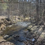 Poor Farm Park Trails, Virginia - 634 Reviews, Map | AllTrails