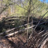 Poor Farm Park Trails, Virginia - 634 Reviews, Map | AllTrails
