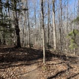 Poor Farm Park Trails, Virginia - 634 Reviews, Map | AllTrails