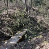 Poor Farm Park Trails, Virginia - 634 Reviews, Map | AllTrails