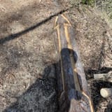 Poor Farm Park Trails, Virginia - 634 Reviews, Map | AllTrails