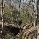 Poor Farm Park Trails, Virginia - 634 Reviews, Map | AllTrails