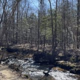 Poor Farm Park Trails, Virginia - 634 Reviews, Map | AllTrails