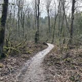 Tryon Creek Triple Bridge Loop, Oregon - 1,441 Reviews, Map | AllTrails