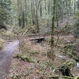 Tryon Creek Triple Bridge Loop, Oregon - 1,441 Reviews, Map | AllTrails
