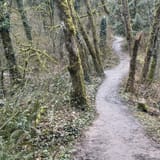 Tryon Creek Triple Bridge Loop, Oregon - 1,441 Reviews, Map | AllTrails