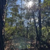 Discovery Trail to Roanoke Trail Red Loop, North Carolina - 442 Reviews ...