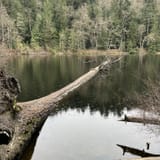 Fragrance Lake Trail, Washington - 2,807 Reviews, Map | AllTrails