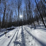 Mount Arab Trail, New York - 2,214 Reviews, Map | AllTrails