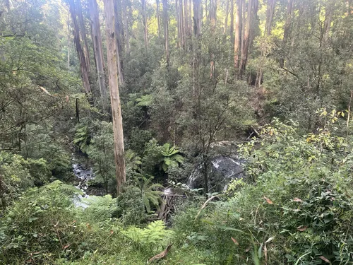 Best Hikes and Trails in Mount Worth State Park | AllTrails