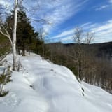 Moxham Mountain Trail, New York - 1,349 Reviews, Map | AllTrails