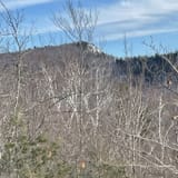 Moxham Mountain Trail, New York - 1,349 Reviews, Map | AllTrails