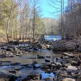 Edward's Point Trail, Tennessee - 2,469 Reviews, Map | AllTrails