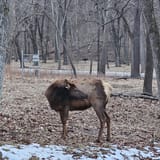 White Bison Loop, Missouri - 2,287 Reviews, Map | AllTrails