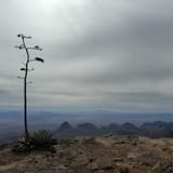Outer Mountain Loop, Texas - 94 Reviews, Map | AllTrails