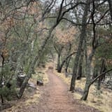Outer Mountain Loop, Texas - 94 Reviews, Map | AllTrails