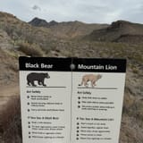 Outer Mountain Loop, Texas - 94 Reviews, Map | AllTrails