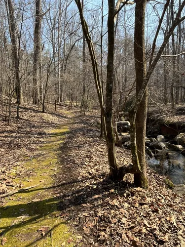 Best Hikes and Trails in Charlie Elliott Wildlife Center | AllTrails