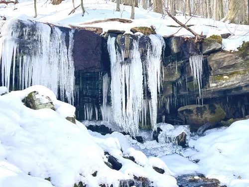 Best Hikes and Trails in Linn Run State Park | AllTrails