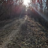 Flint Hills Nature Trail, Kansas - 249 Reviews, Map | AllTrails