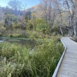 Cascade Springs Interpretive Trail, Utah - 477 Reviews, Map | AllTrails