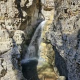 Walls of Jericho Trail, Alabama - 2,271 Reviews, Map | AllTrails