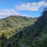 Pauoa Flats via Kalawahine Trail, Oahu, Hawaii - 1,211 Reviews, Map ...