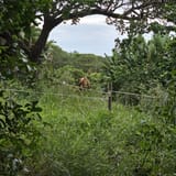 Umdoni Park, Kwazulu-Natal, South Africa - 12 Reviews, Map | AllTrails