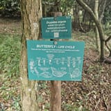 Umdoni Park, Kwazulu-Natal, South Africa - 12 Reviews, Map | AllTrails