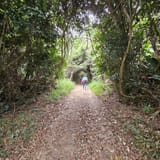 Umdoni Park, Kwazulu-Natal, South Africa - 12 Reviews, Map | AllTrails