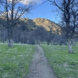 Pa'san Ridge Trail, California - 950 Reviews, Map | AllTrails