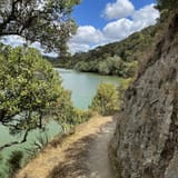 Waitangi to Haruru Falls Walk, Northland, New Zealand - 286 Reviews ...