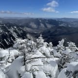 Mount Tom, Mount Field, Mount Willey and Mount Avalon Trail, New ...