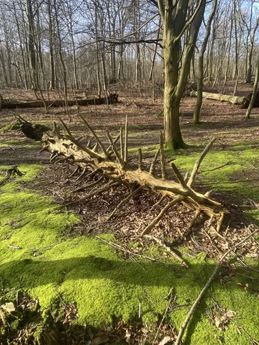 Best Camping Trails in Barrit | AllTrails