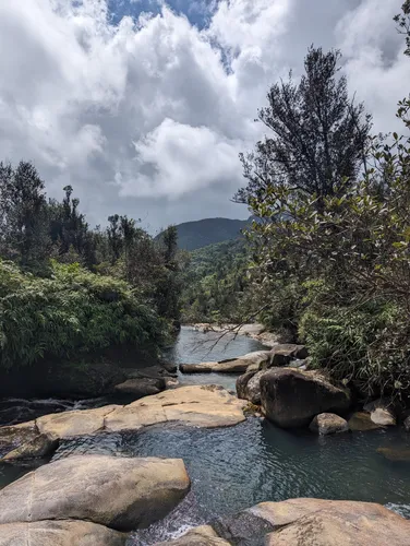 10 Best Hikes and Trails in El Yunque National Forest | AllTrails
