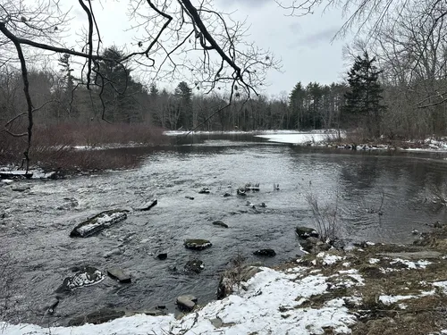 Best Hikes and Trails in Riverbrook Preserve | AllTrails