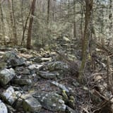 Fiery Gizzard Trail to Raven's Point, Tennessee - 1,149 Reviews, Map ...