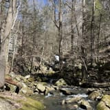 Fiery Gizzard Trail to Raven's Point, Tennessee - 1,116 Reviews, Map ...