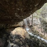 Fiery Gizzard Trail to Raven's Point, Tennessee - 1,120 Reviews, Map ...