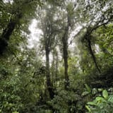 Enchanted Trail, Guanacaste, Costa Rica - 72 Reviews, Map | AllTrails